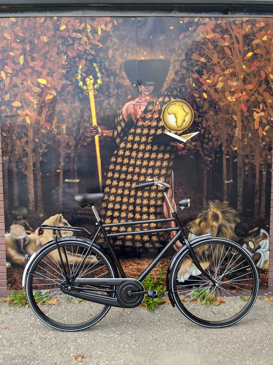 Avalon Opafiets – 61cm – Plain Bicycle